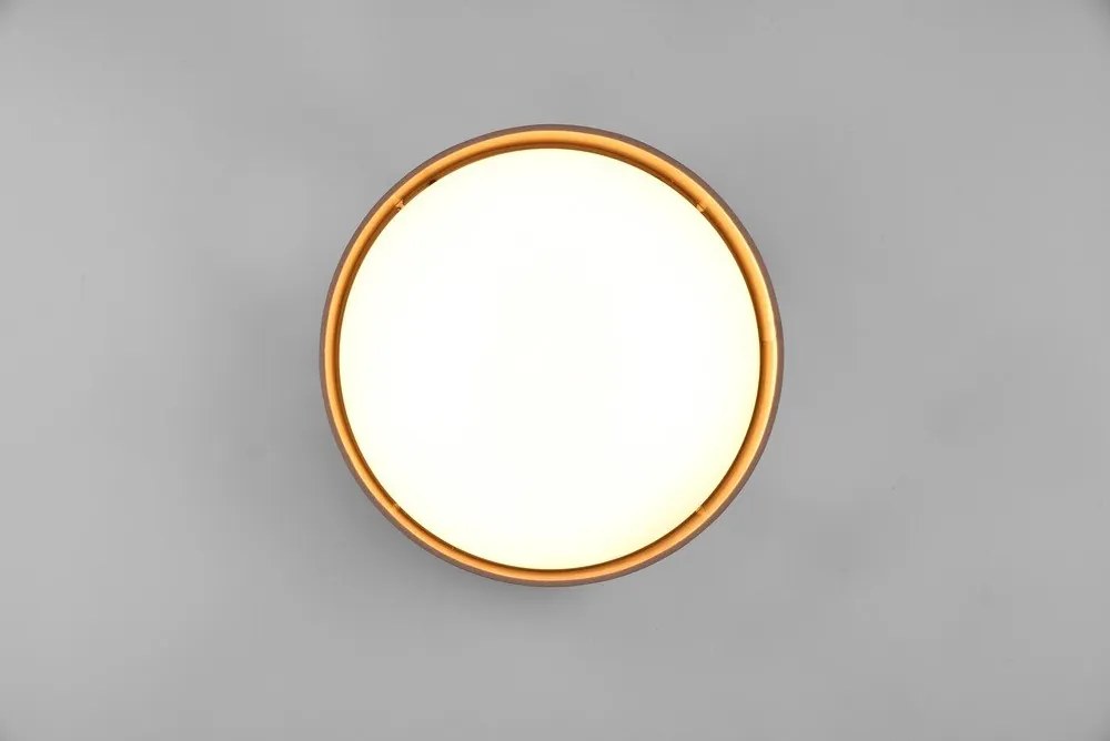 Světle hnědé LED stropní svítidlo ø 30 cm Locarno – Reality