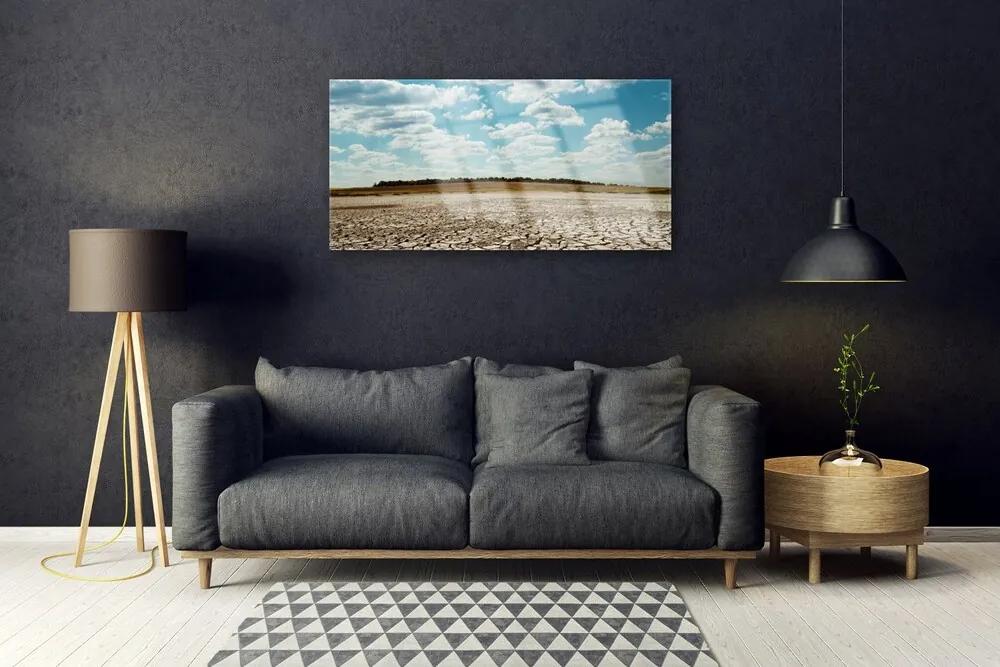 Obraz na skle Poušť Krajina 125x50 cm