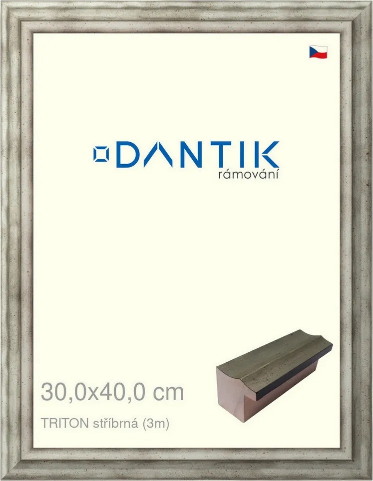 DANTIK rámeček 30x40 | TRITON stříbrná (Plexi Čiré)