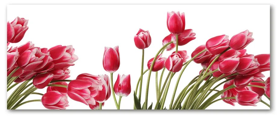 Wallmuralia Foto obraz akrylový Červené tulipány 125x50 cm
