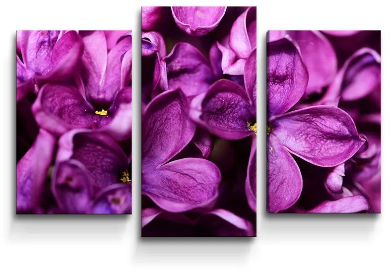 Sablio Obraz - 3-dílný Fialové květy - 75x50 cm