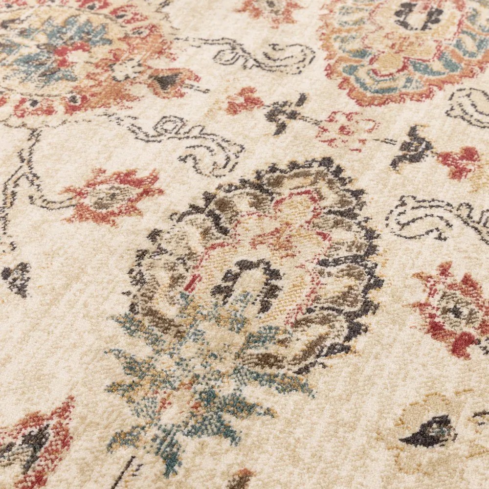 Béžový koberec 240x340 cm Raja – Asiatic Carpets