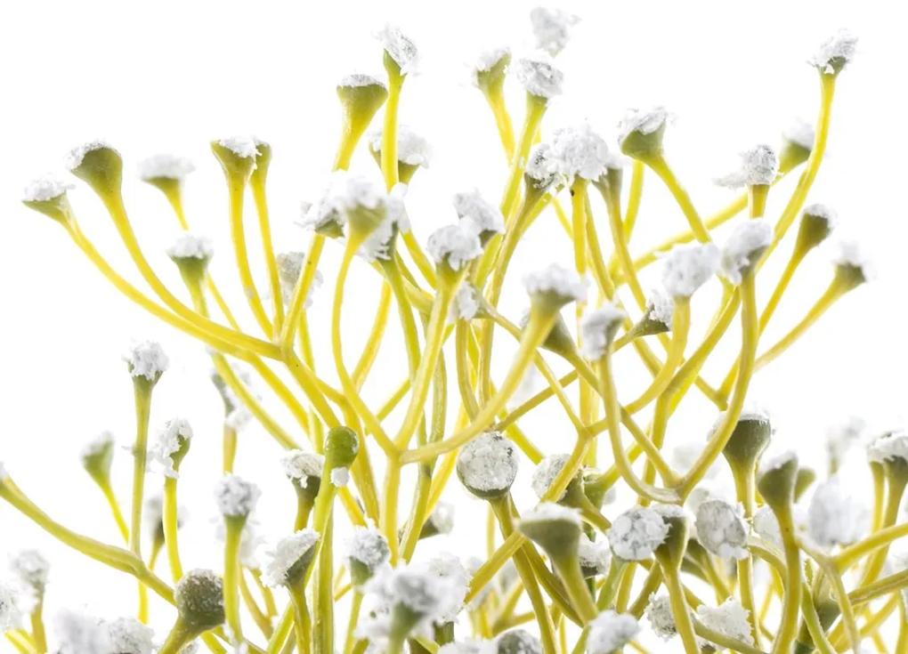 Umělá květina v keramickém obalu BABI bílá