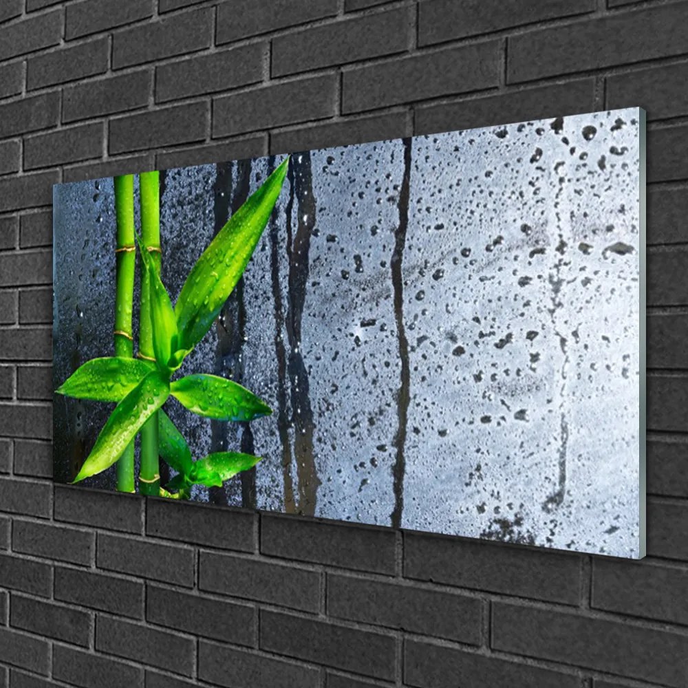 Obraz na skle Bambus List Rostlina Příroda 100x50 cm