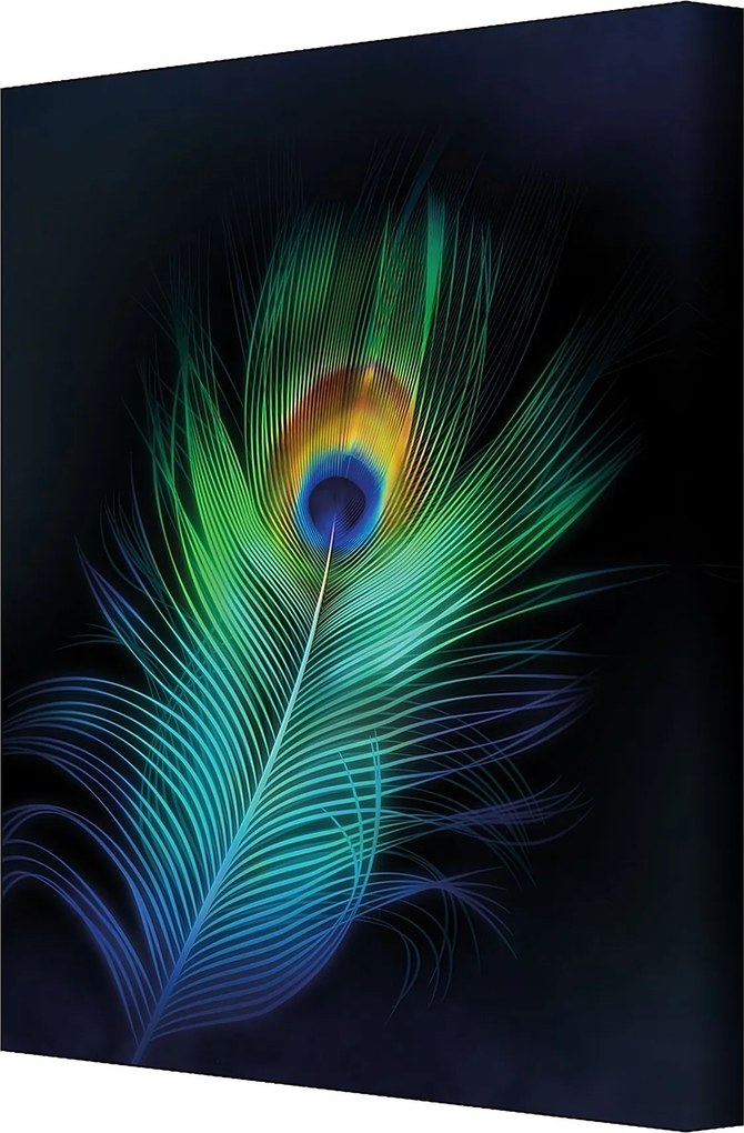 Obraz na plátně Peacock Eye
