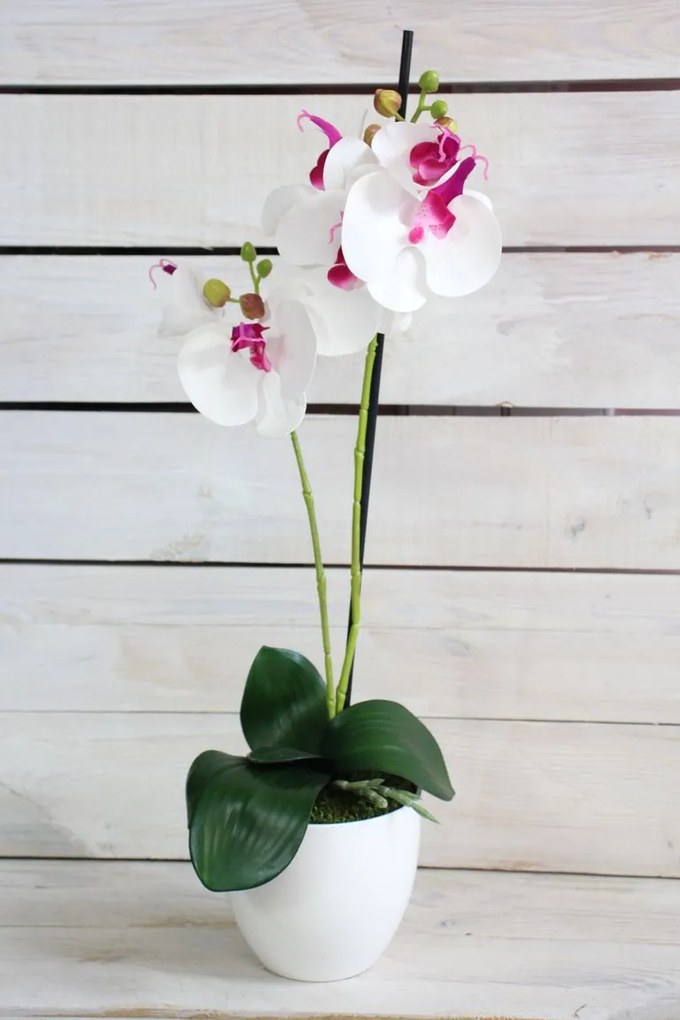 Umělá orchidej v květináči - bílo-fialová (v. 51,5 cm)  moderní stylu
