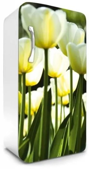 FR-120-026 Fototapeta na lednici Bílé tulipány | 65 x 120 cm