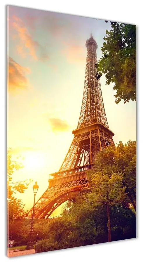 Wallmuralia Foto obraz akrylový Eiffelová věž Paříž 60x120 cm
