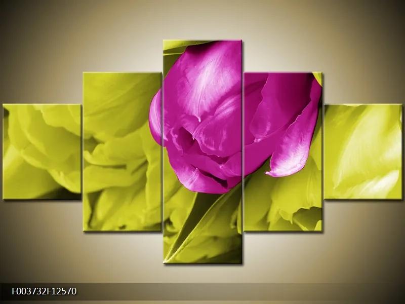 Obraz růžového květu na zeleném pozadí  (125x70 cm), 40 dalších rozměrů