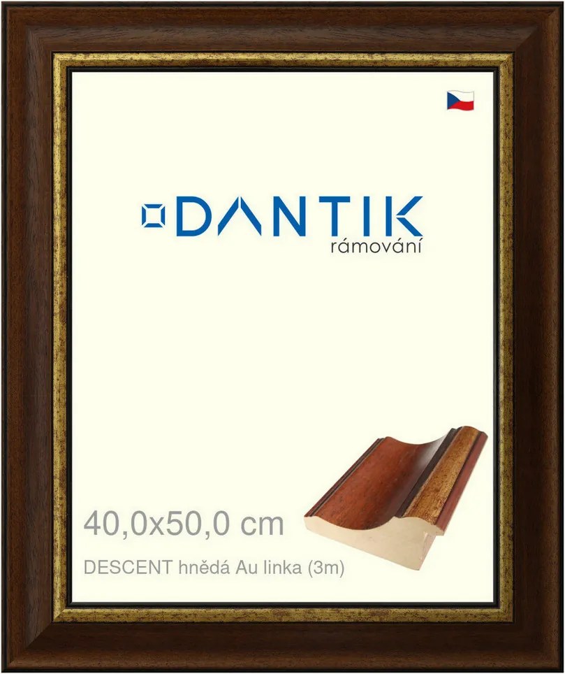 DANTIK rámeček 40x50 | DESCENT hnědá Au linka (Plexi Čiré)