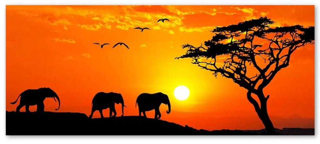 Obraz na plátně Afrika Západ slunce Sloni - 120x40 cm