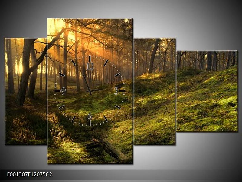 Krásný obraz lesa (120x75 cm), 40 dalších rozměrů