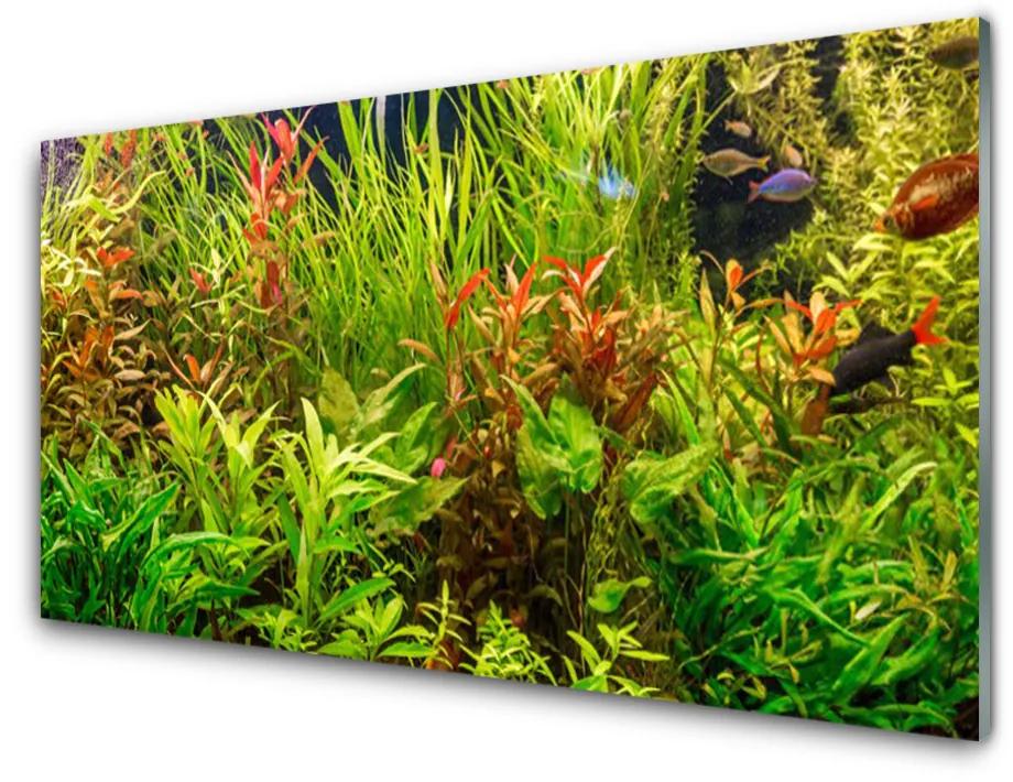 Obraz na skle Akvárium Rybičky Rostliny 120x60 cm