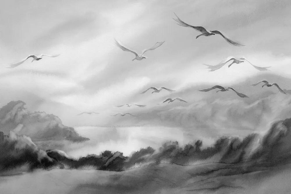 Samolepící tapeta přelet ptáků v černobílém provedení - 225x150 cm