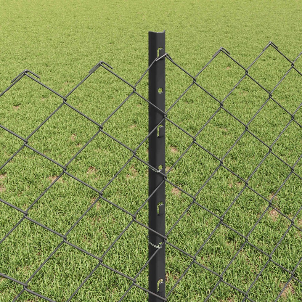Plot s řetězovým odkazem a sloupkem 25 x 0,8 m Pozinkovaná ocel 3336279