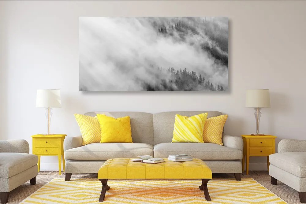 Obraz černobílý mlhavý les Varianta: 100x50