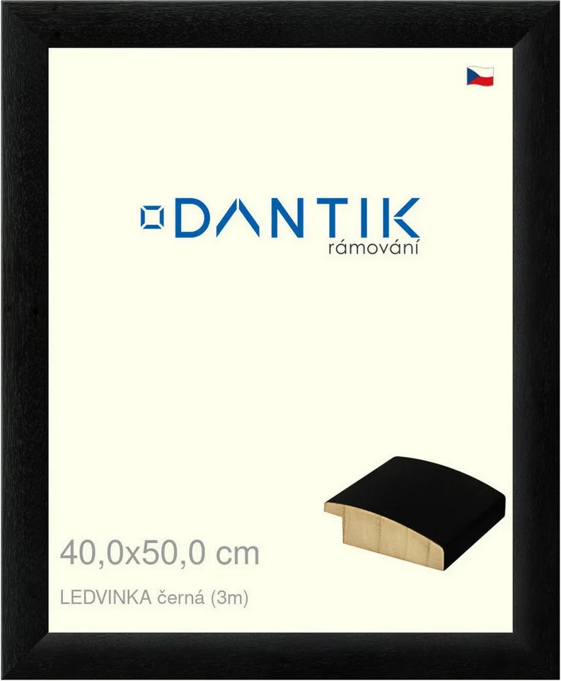 DANTIK rámeček 40x50 | LEDVINKA černá (Plexi Čiré)