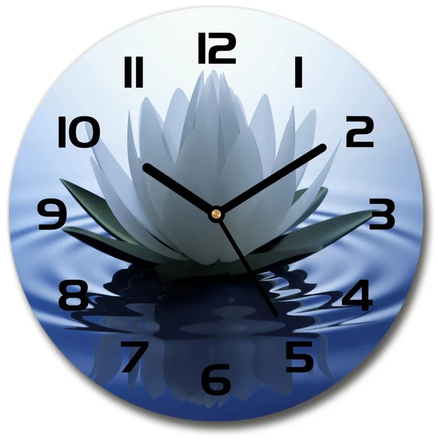 Wallmuralia Skleněné hodiny kulaté Vodní lilie fi 30 cm