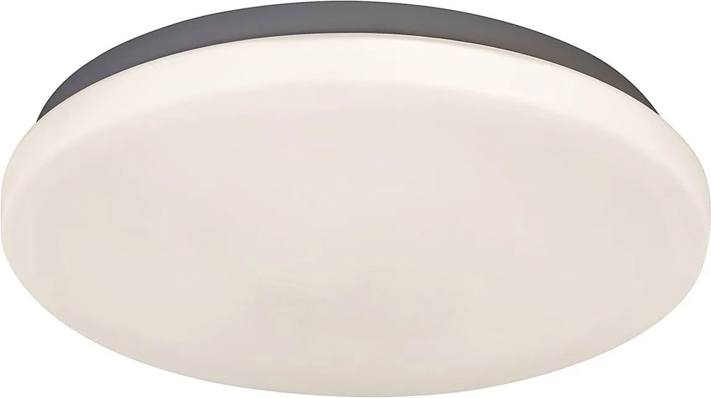 Stropní LED svítidlo ROB, 20W, denní bílá, 29cm, kulaté Rabalux ROB 002284