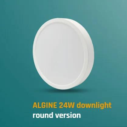 Kulaté stropní LED svítidlo ALGINE 24W