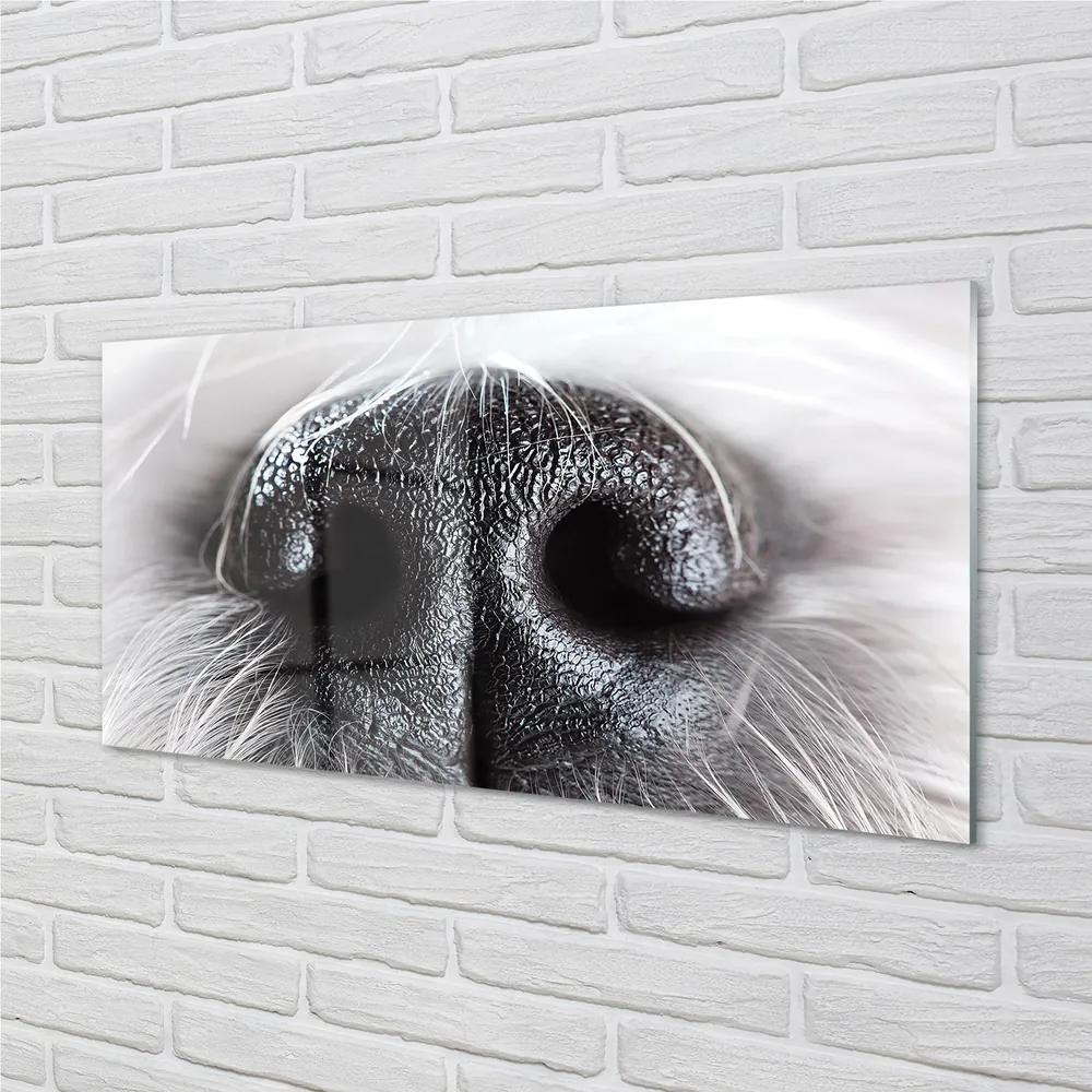 akrylový obraz psí čumák 140x70 cm