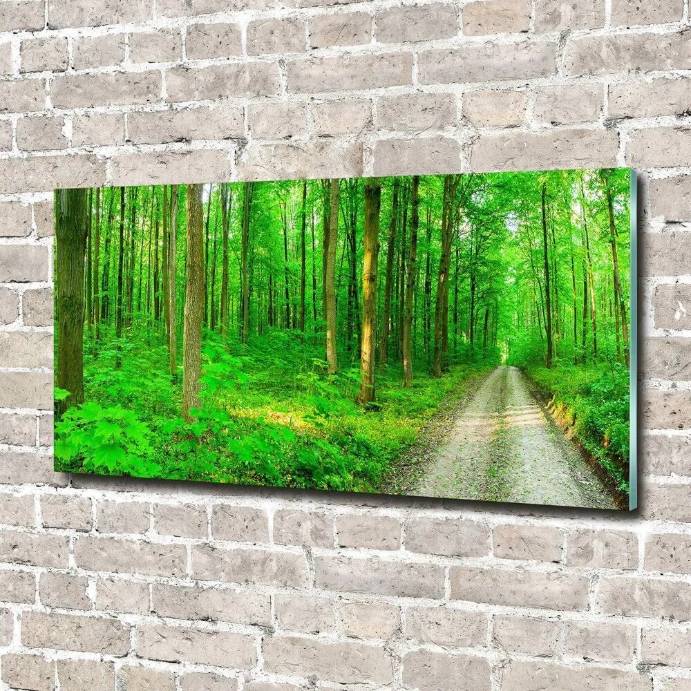 Wallmuralia Foto obraz skleněný horizontální Stromy v lese 140x70 cm