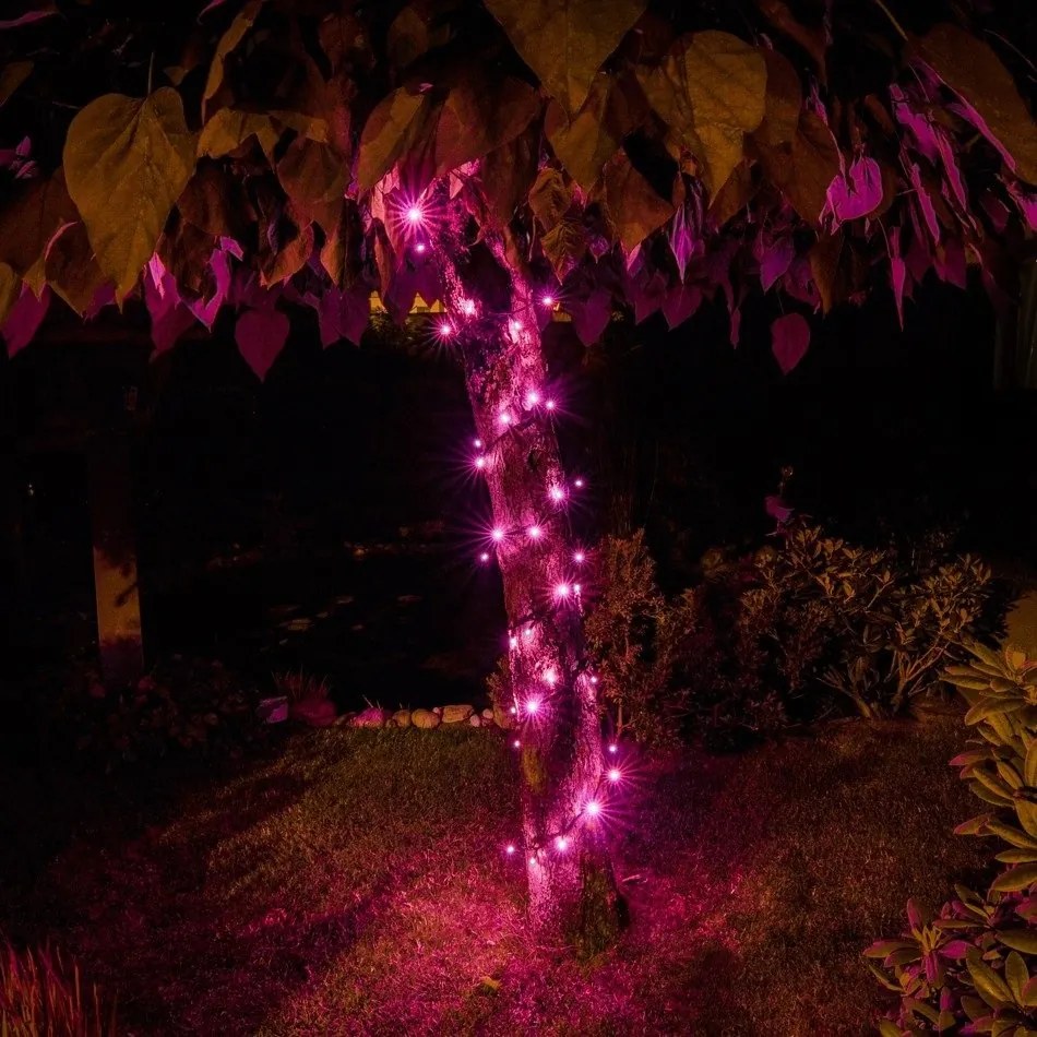 Easy fix LED světelný řetěz, 5 m, venkovní, růžový, 50 diod, černý kabel, IP67