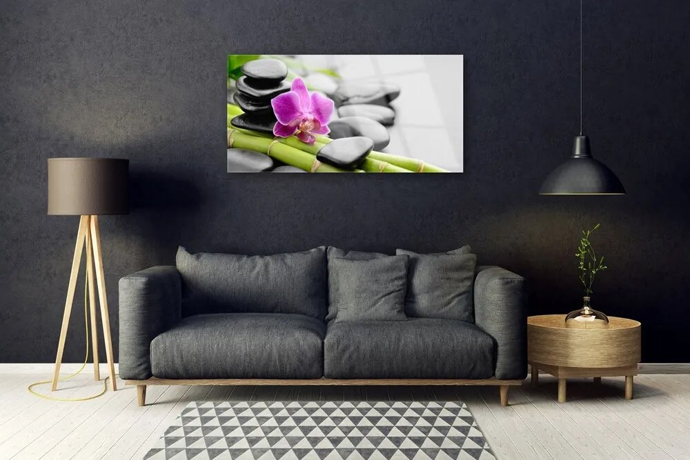 akrylový obraz Bambus Květ Kameny Umění 100x50 cm