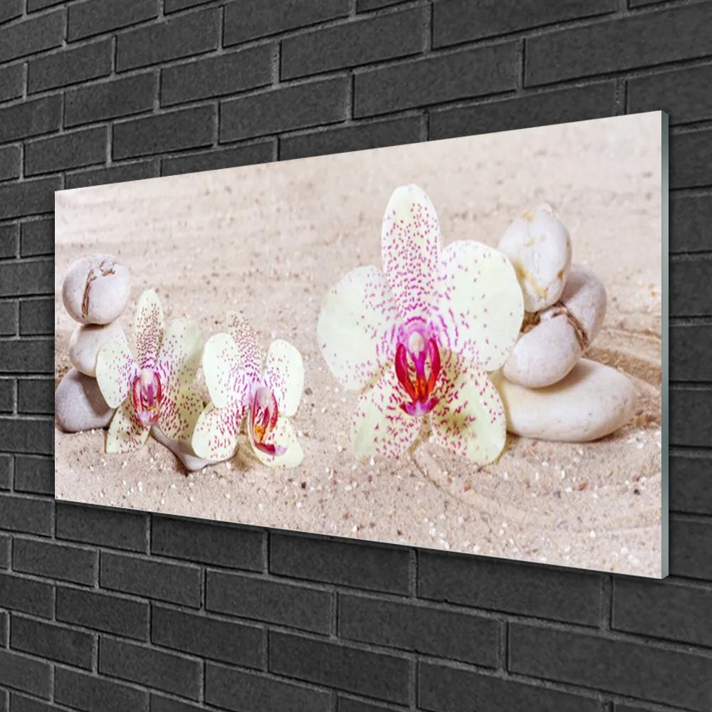 Obraz na skle Orchidej Kameny Zen Písek 100x50 cm