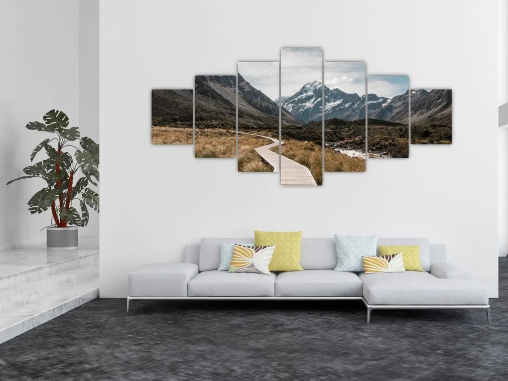 Obraz - Chodník v údolí hory Mt. Cook (210x100 cm)