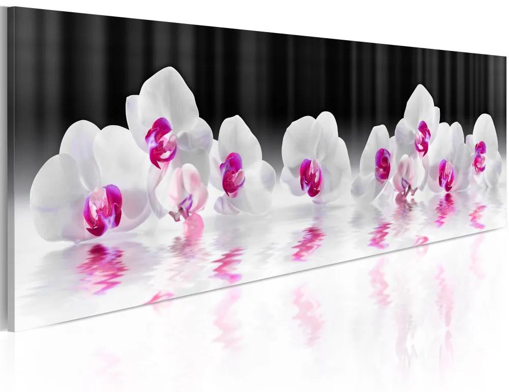 Obraz na plátně Bimago - Orchids In Water 120x40 cm