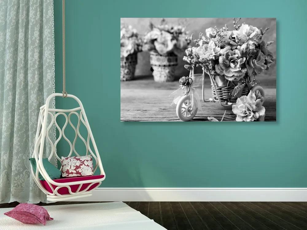 Obraz romantický růžový karafiát ve vintage nádechu v černobílém provedení
