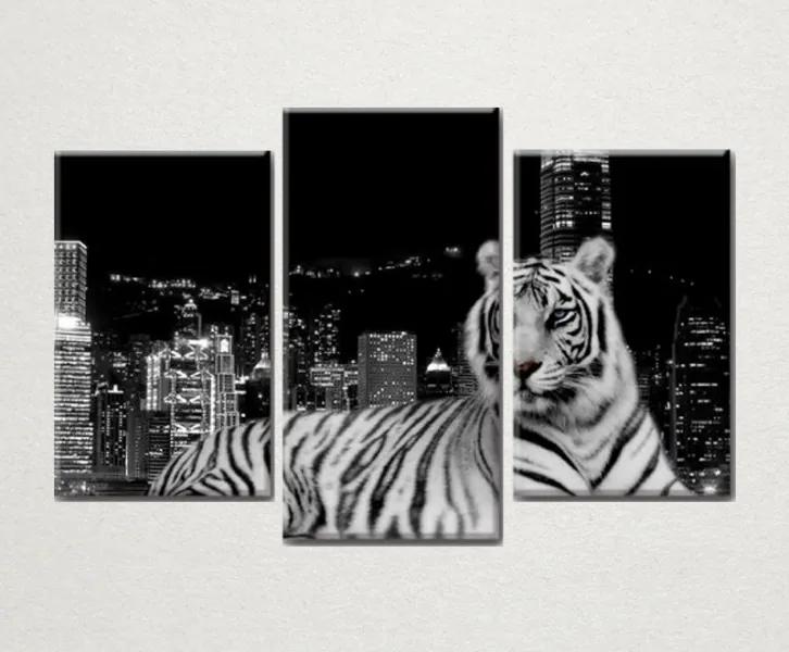 3-dílný obraz - Městský tygr