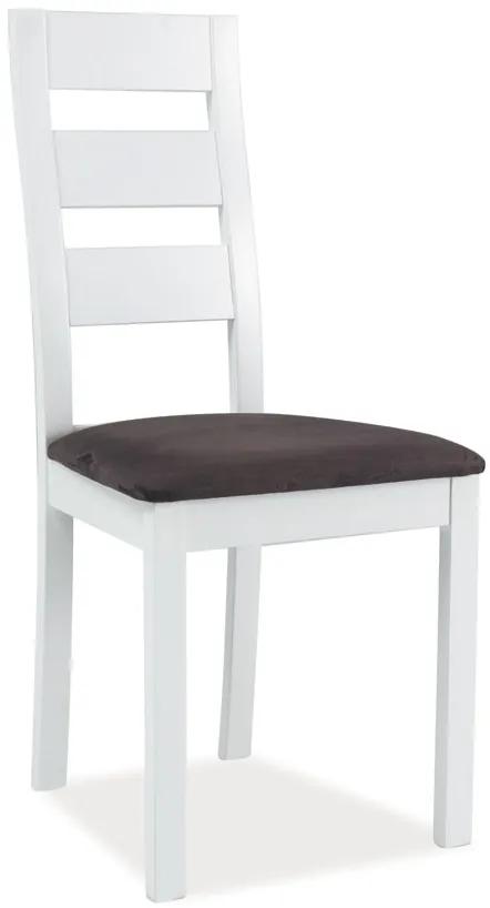 Jídelní čalouněná židle CB-44 bílá/šedá
