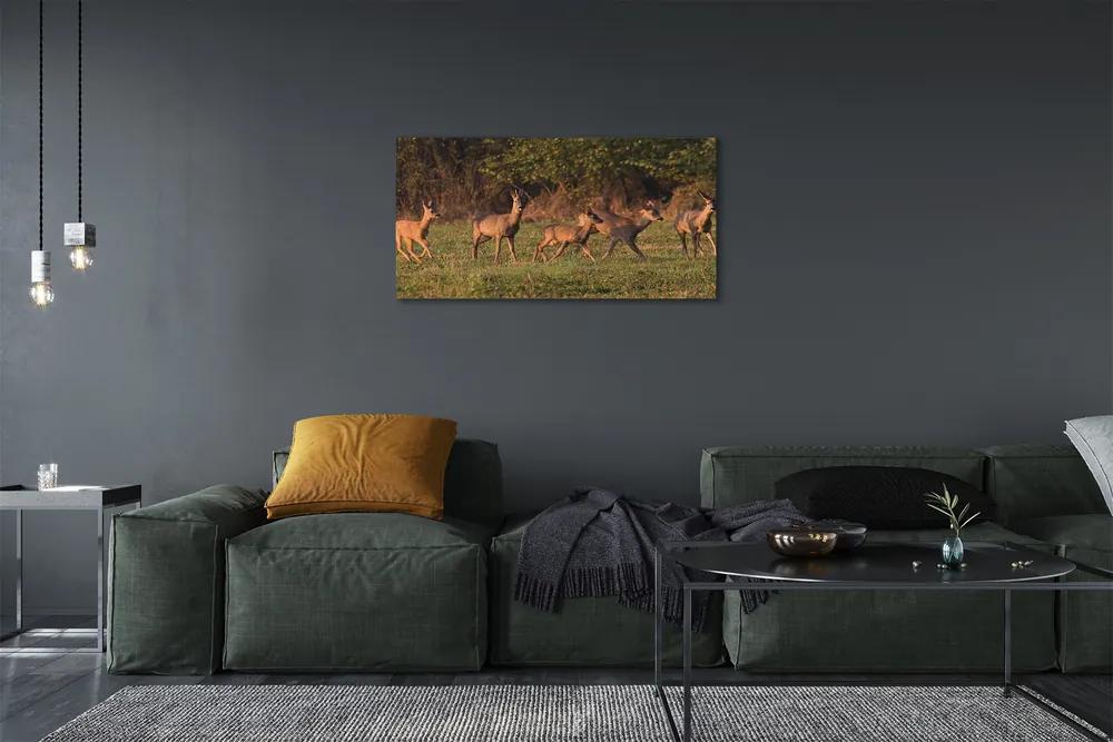Obrazy na plátně Deer Golf svítání 140x70 cm