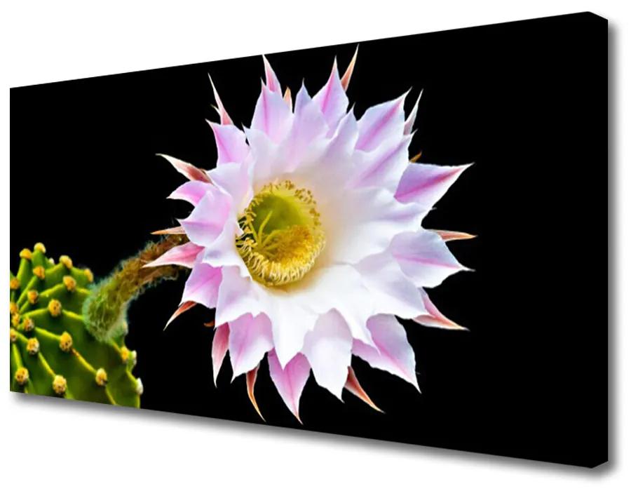 Obraz na plátně Květ 120x60 cm