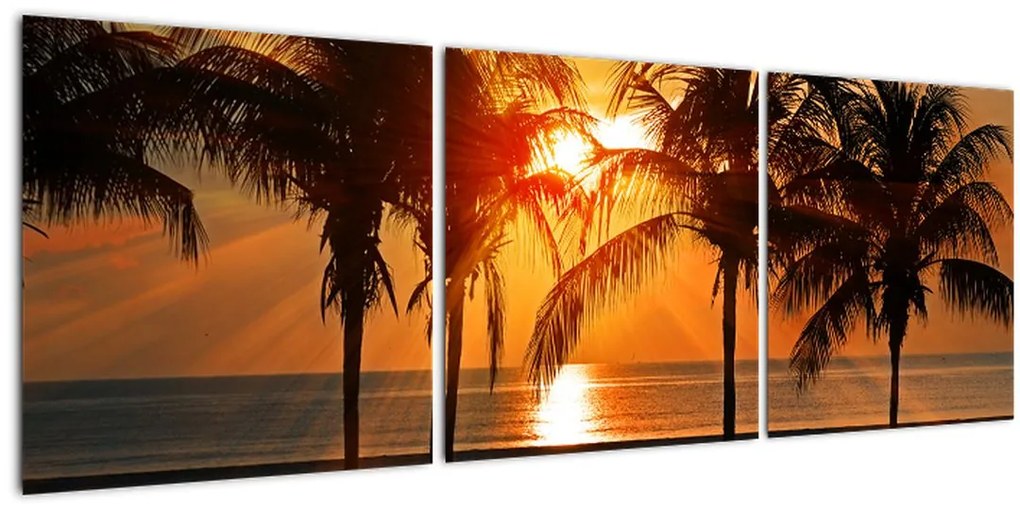 Obraz palmy v západu slunce (120x40 cm), 40 dalších rozměrů