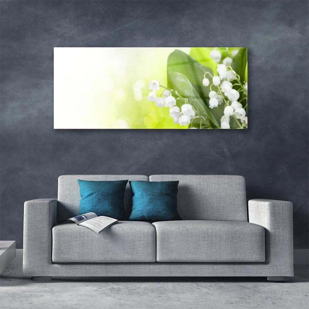 Plexisklo-obraz Konvalinky Listy Květiny Louka 125x50 cm