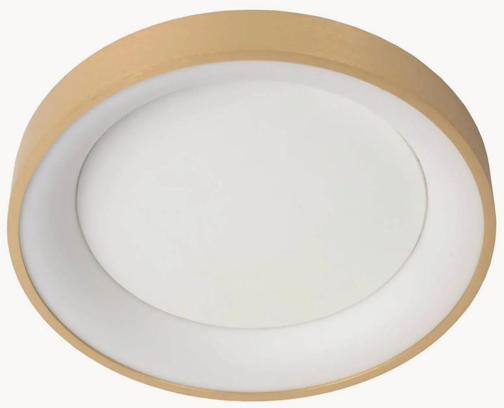 Stmívatelné stropní LED svítidlo Vidal