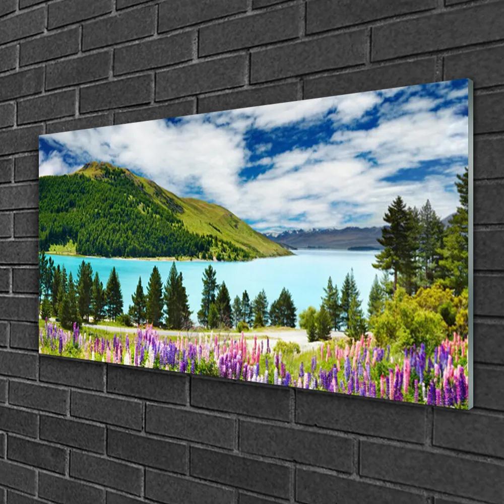 Obraz na skle Hora Les Jezero Krajina 140x70 cm