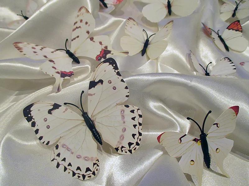 Nalepte.cz 3D dekorace motýli na zeď světlí 12 ks 5 až 12 cm | BIANO