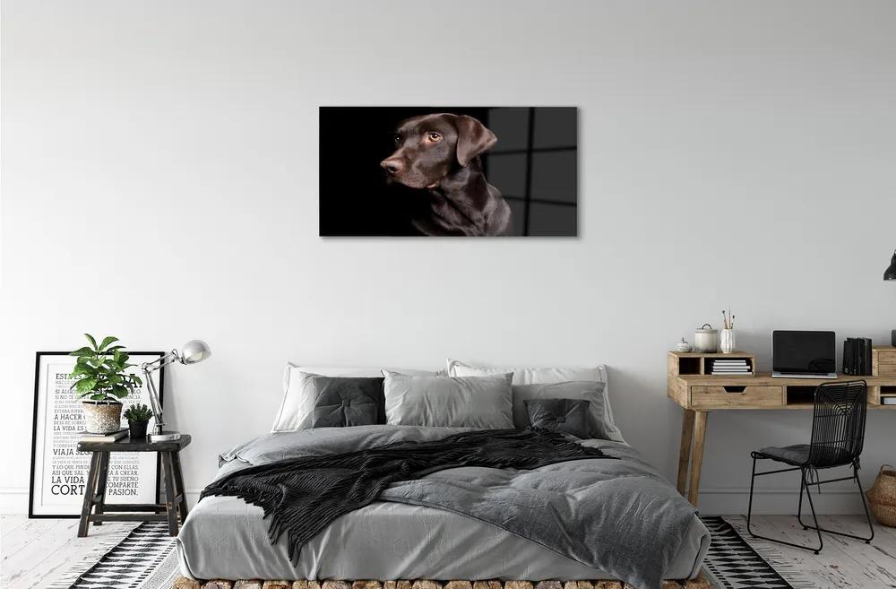 akrylový obraz hnědý pes 100x50 cm