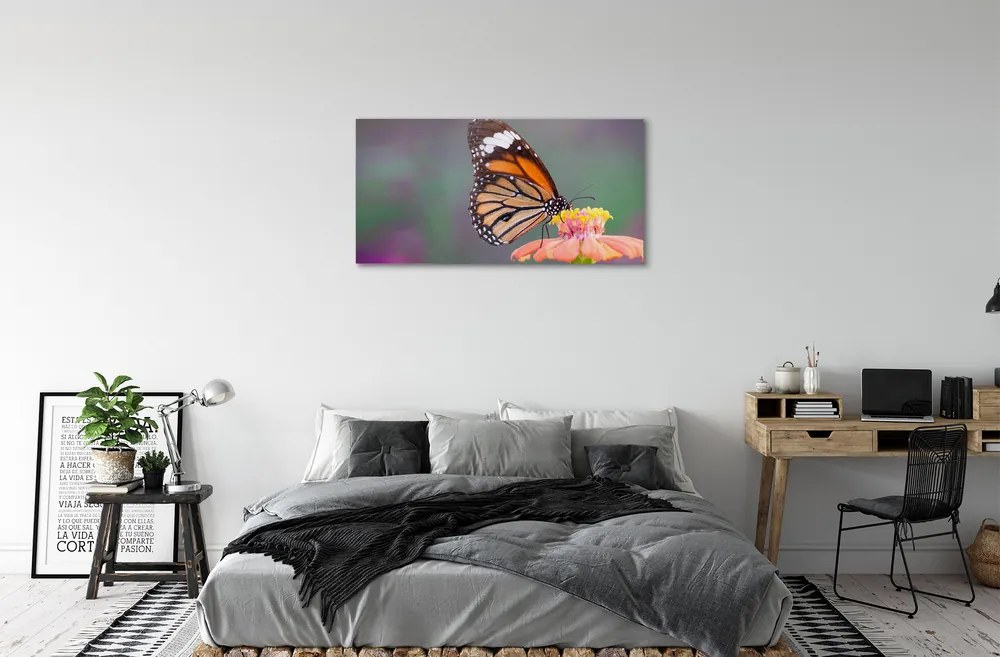 Obrazy na plátně Barevný motýl květina 125x50 cm