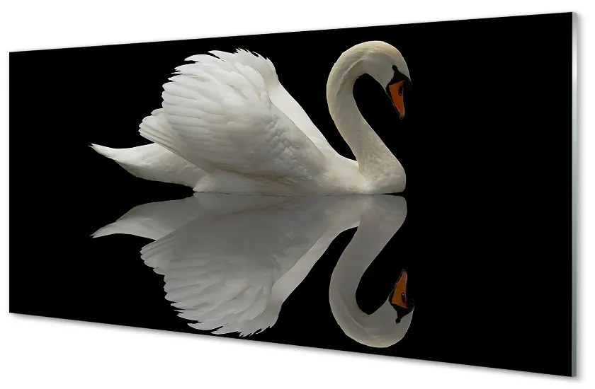 Obraz na skle Swan v noci 125x50 cm