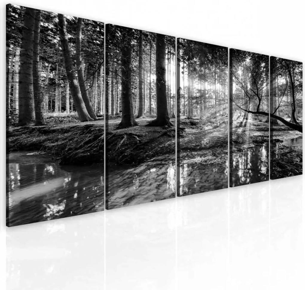 Obraz černobílá pohoda lesa (150x70 cm) - InSmile ®