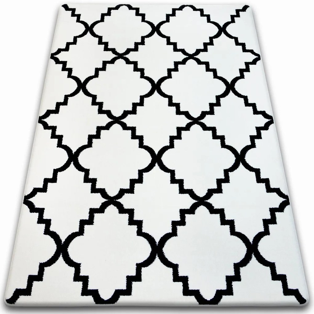 Kusový koberec SKETCH Mria bílo-černý 160x220