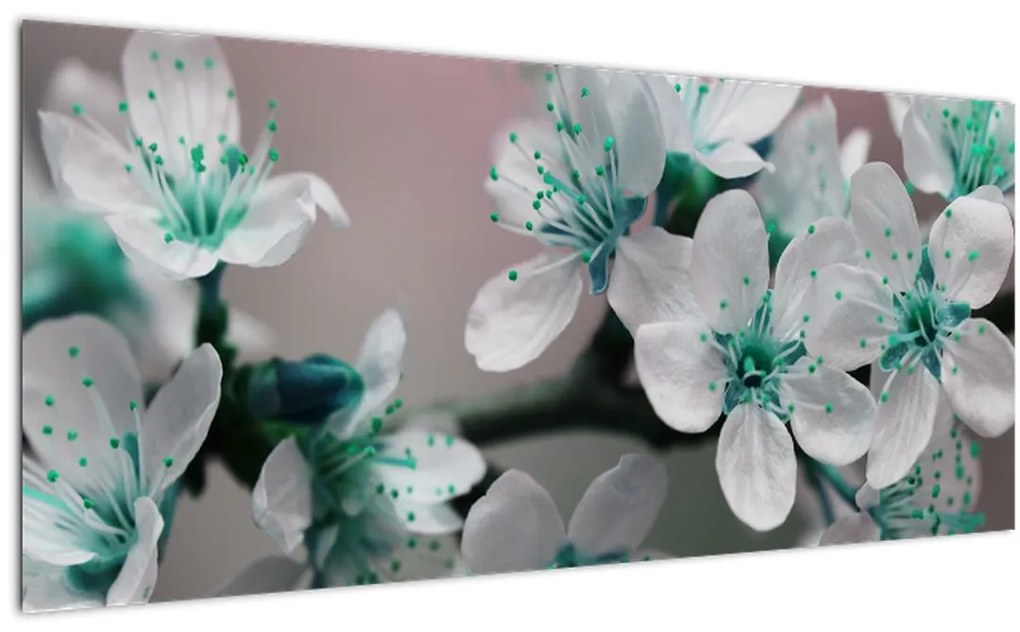 Obraz květu - tyrkysové (100x40 cm), 40 dalších rozměrů