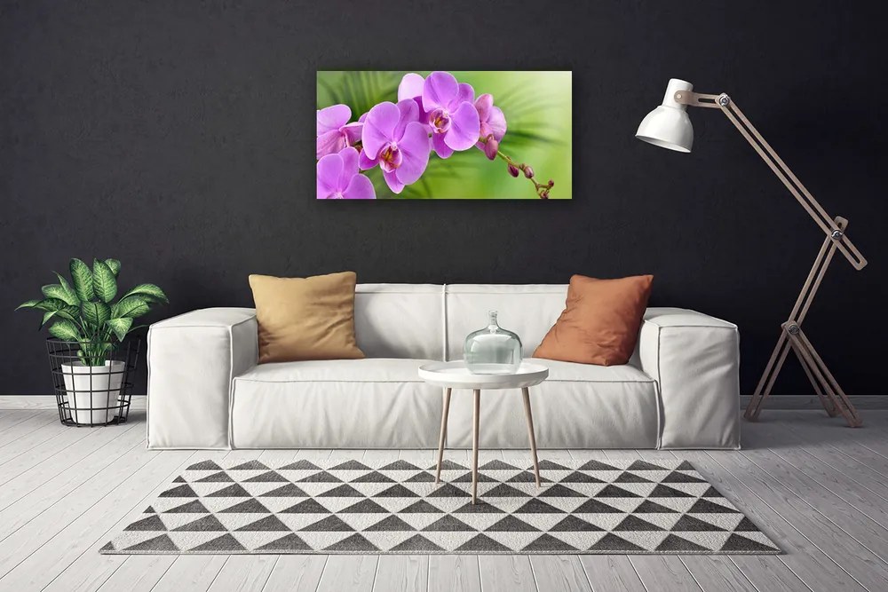 Obraz na plátně Vstavač Orchidej Květiny 140x70 cm