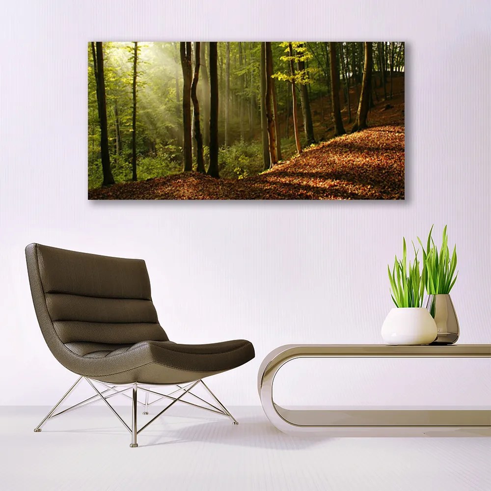 akrylový obraz Les Stromy Příroda 120x60 cm
