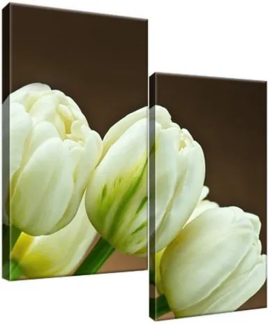 Obraz na plátně Okouzlující bílé tulipány 60x60cm 1257A_2A